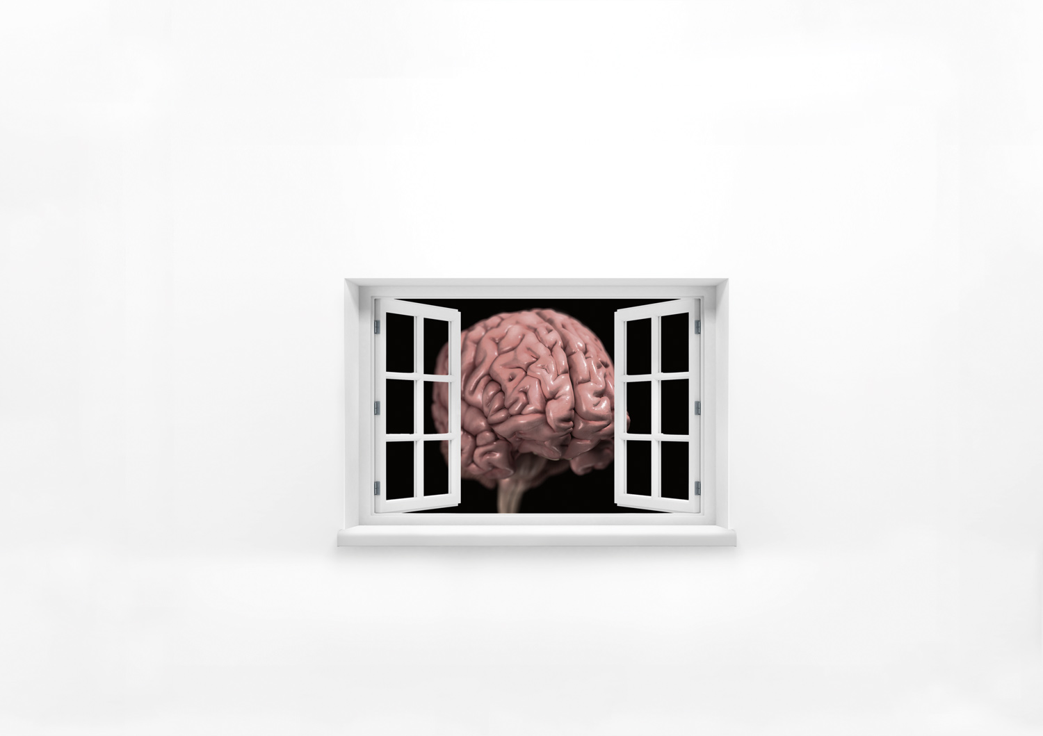 window-brain-5 - Mission magazine | UT Health Science Center San Antonio