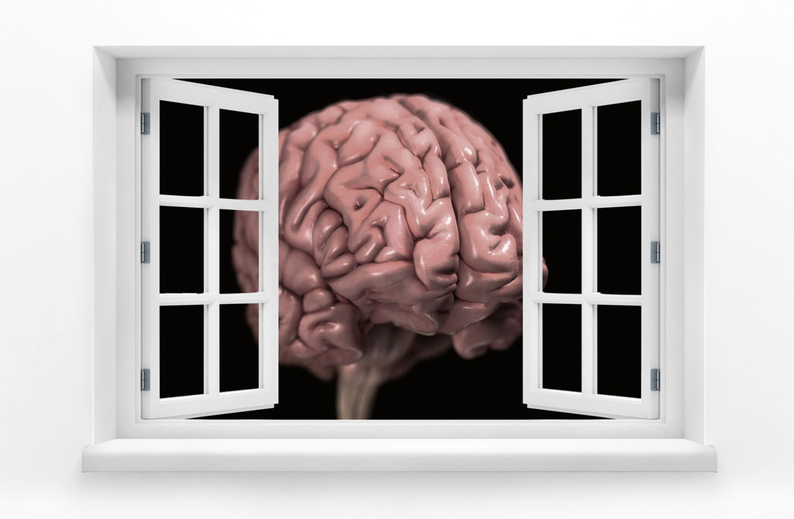 window-brain-5 - Mission magazine | UT Health Science Center San Antonio